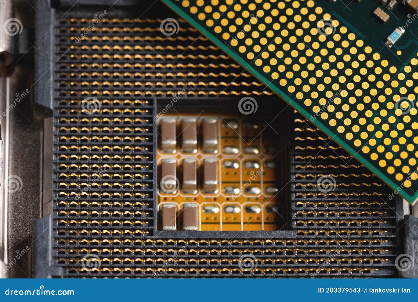 Blank Cpu Cpu Socket with Pins on Motherboard in Yellow Color Close-up ...
