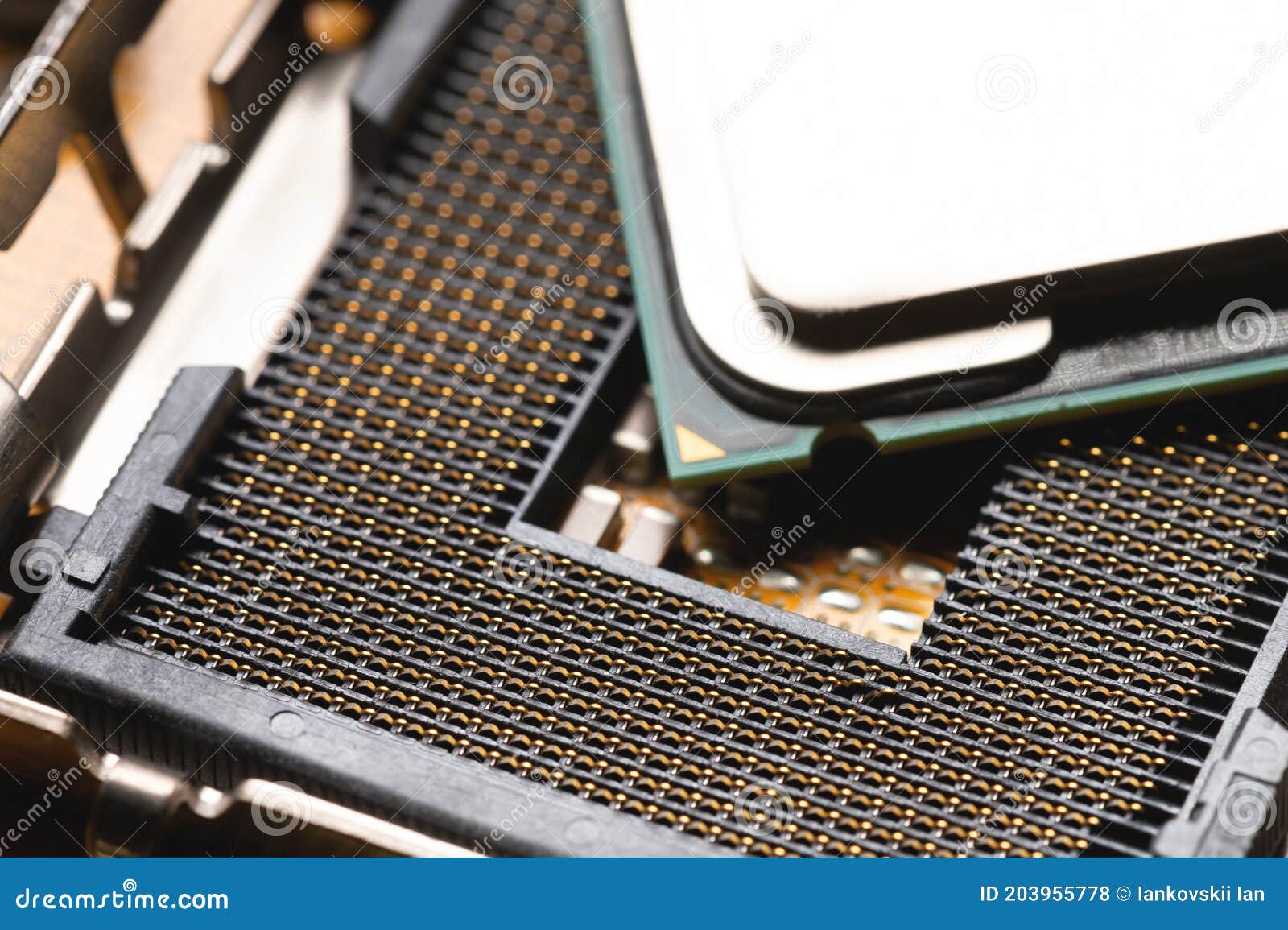 Blank Cpu Cpu Socket with Pins on Motherboard in Yellow Color Close-up ...