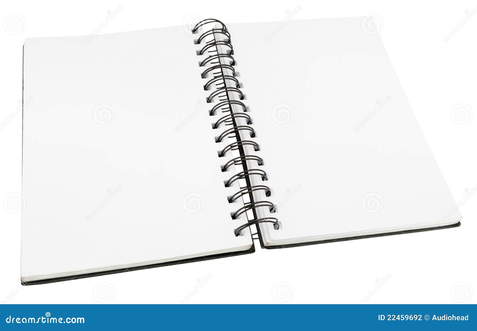 Blank Diary stock photo. Image of empty, isolated, school - 22459692