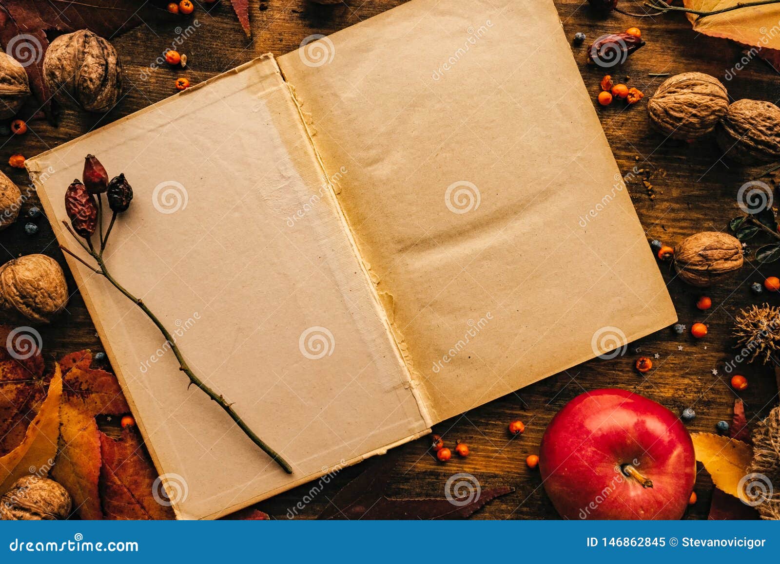 Blank Old Diary Page