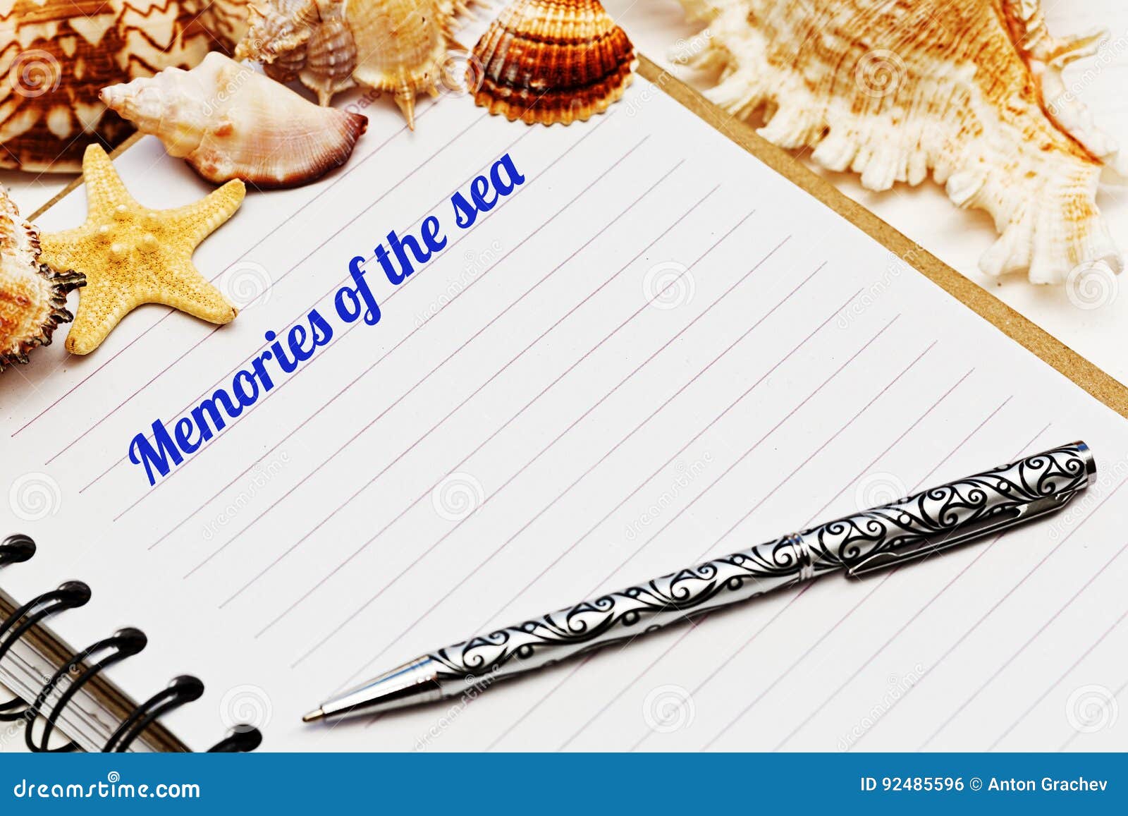 Blank Diary with Sea Shells Stock Photo - Image of backgrounds, design ...