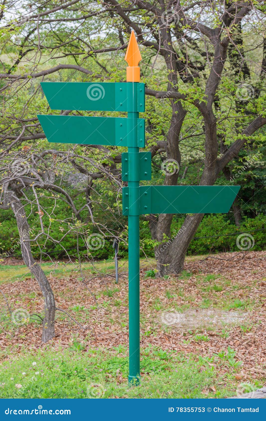 Blank Direction Green Signpost in the Park. Stock Image - Image of post ...