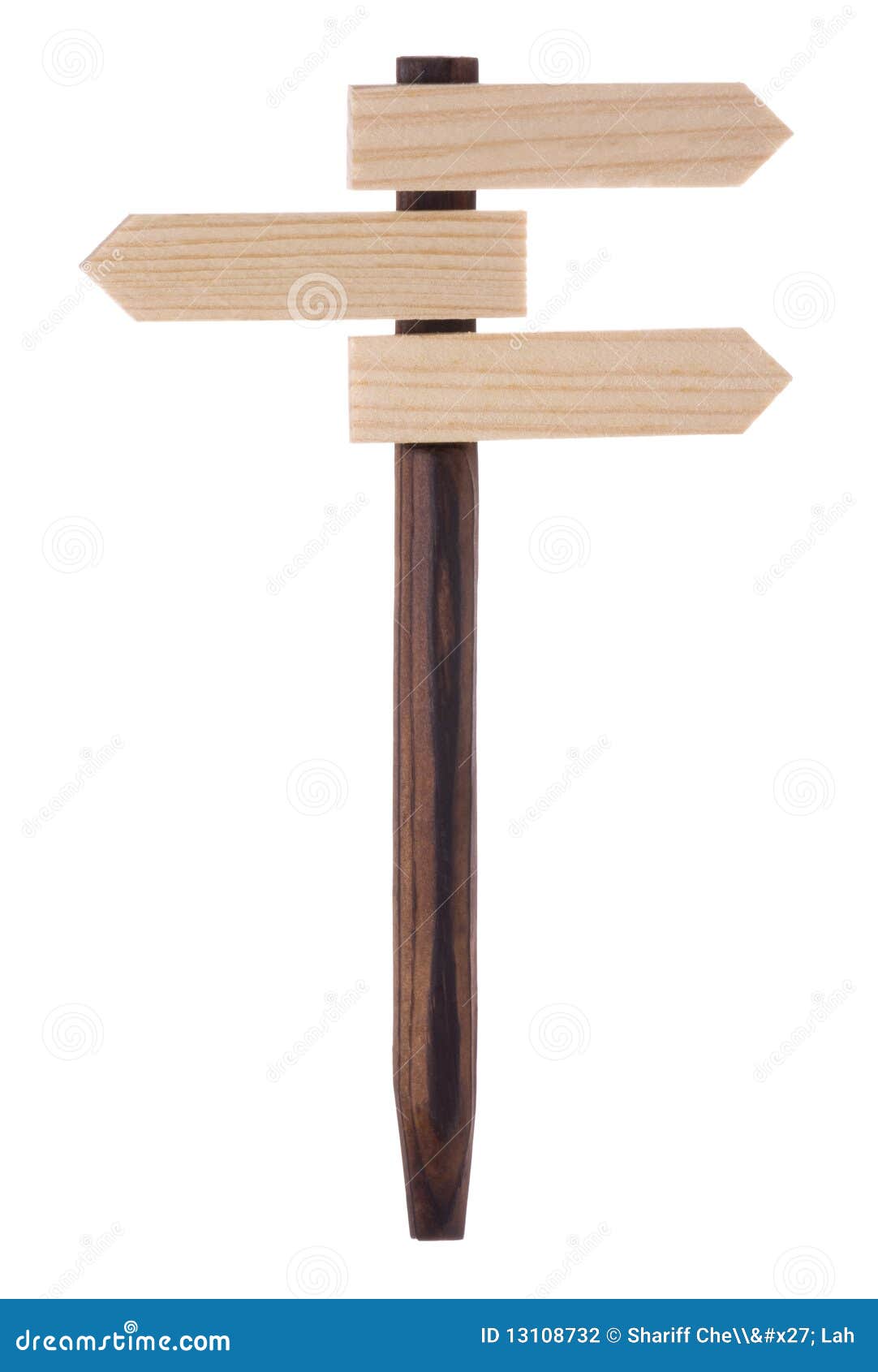 Blank Direction Sign Isolated Stock Photo - Image of lost, direction ...