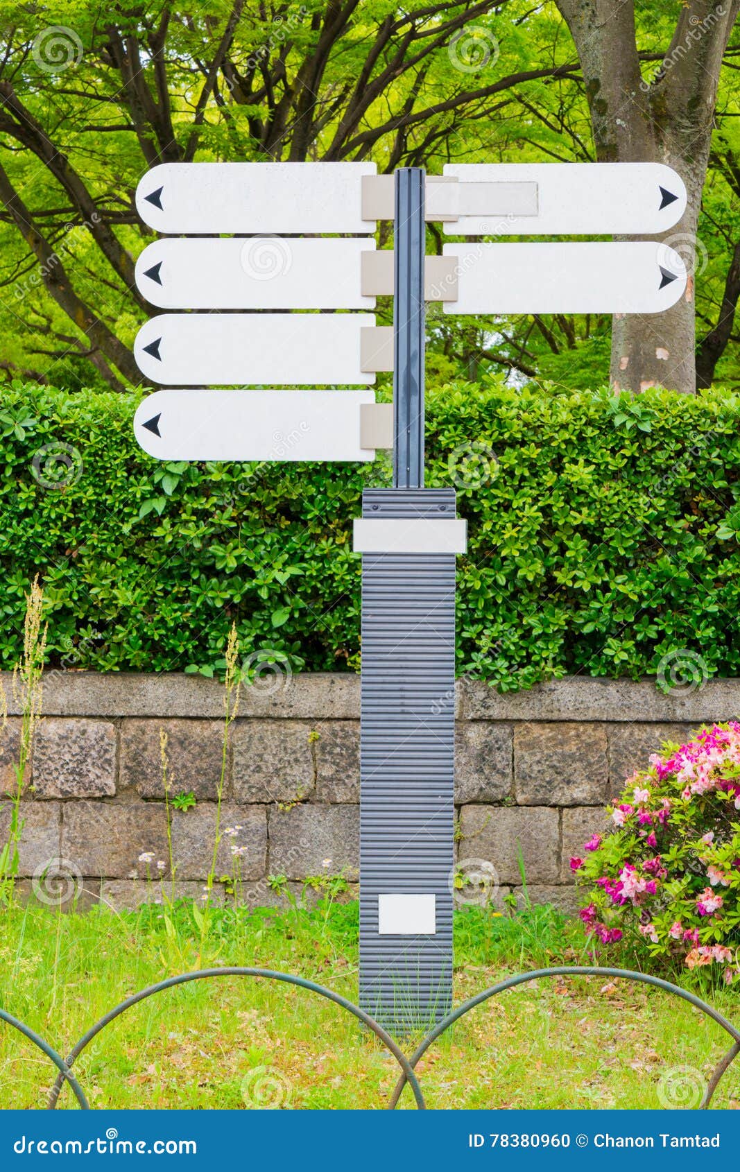 Blank Direction White Signpost in the Park. Stock Photo - Image of ...