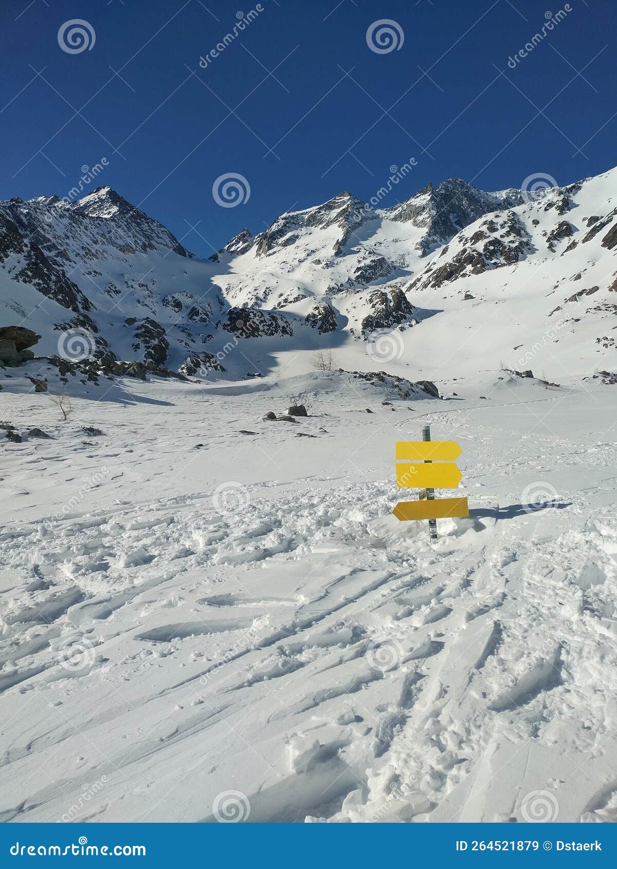 Blank directional signs stock image. Image of walking - 264521879