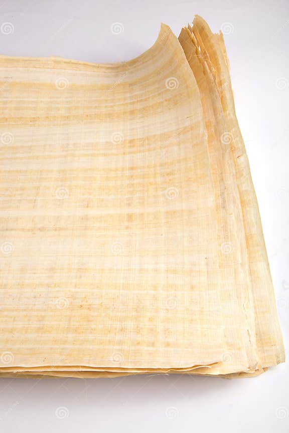 Blank Egyptian papyrus stock photo. Image of parchment - 36805102