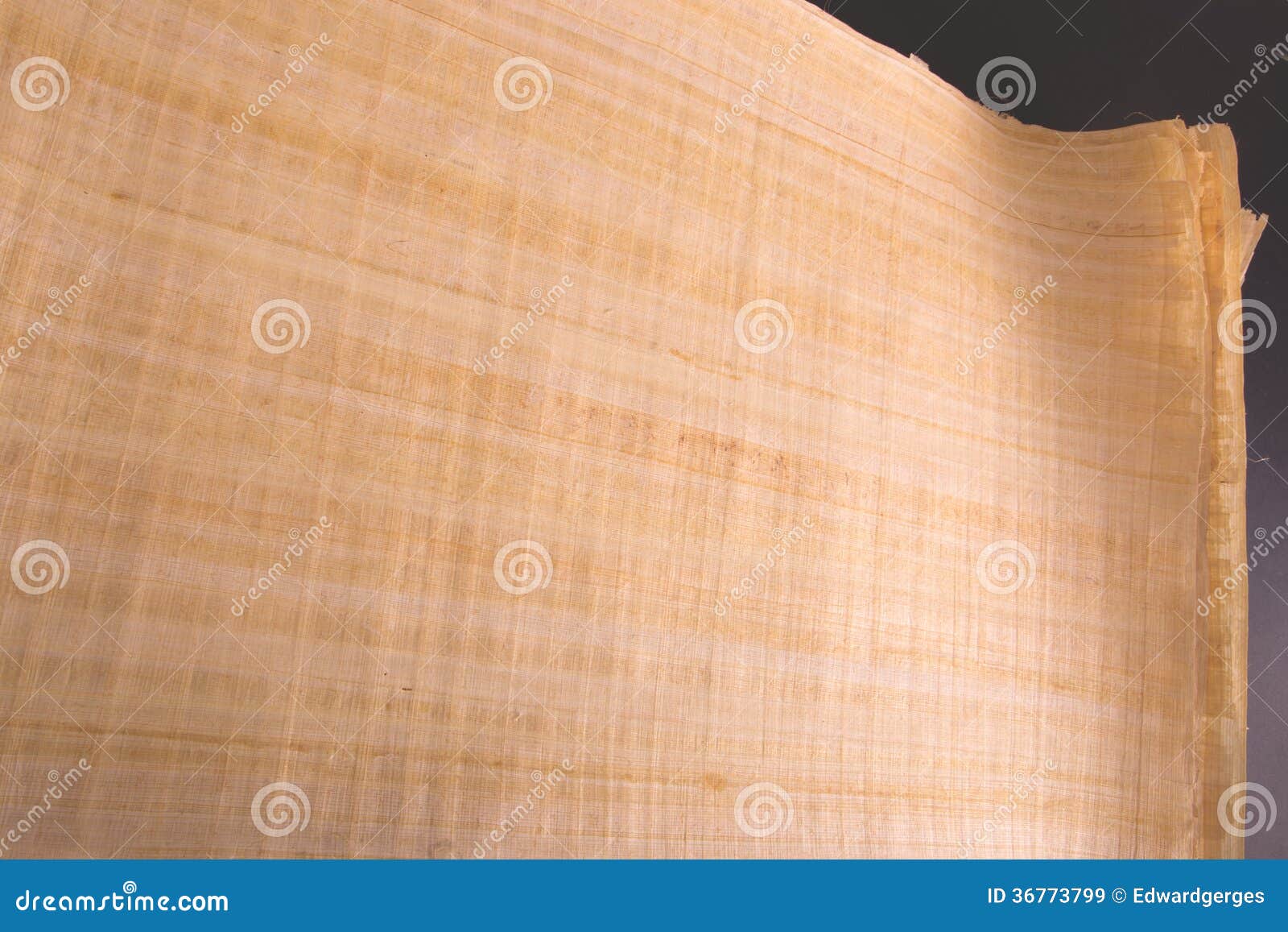 Blank Egyptian papyrus stock image. Image of full, coiled - 36773799