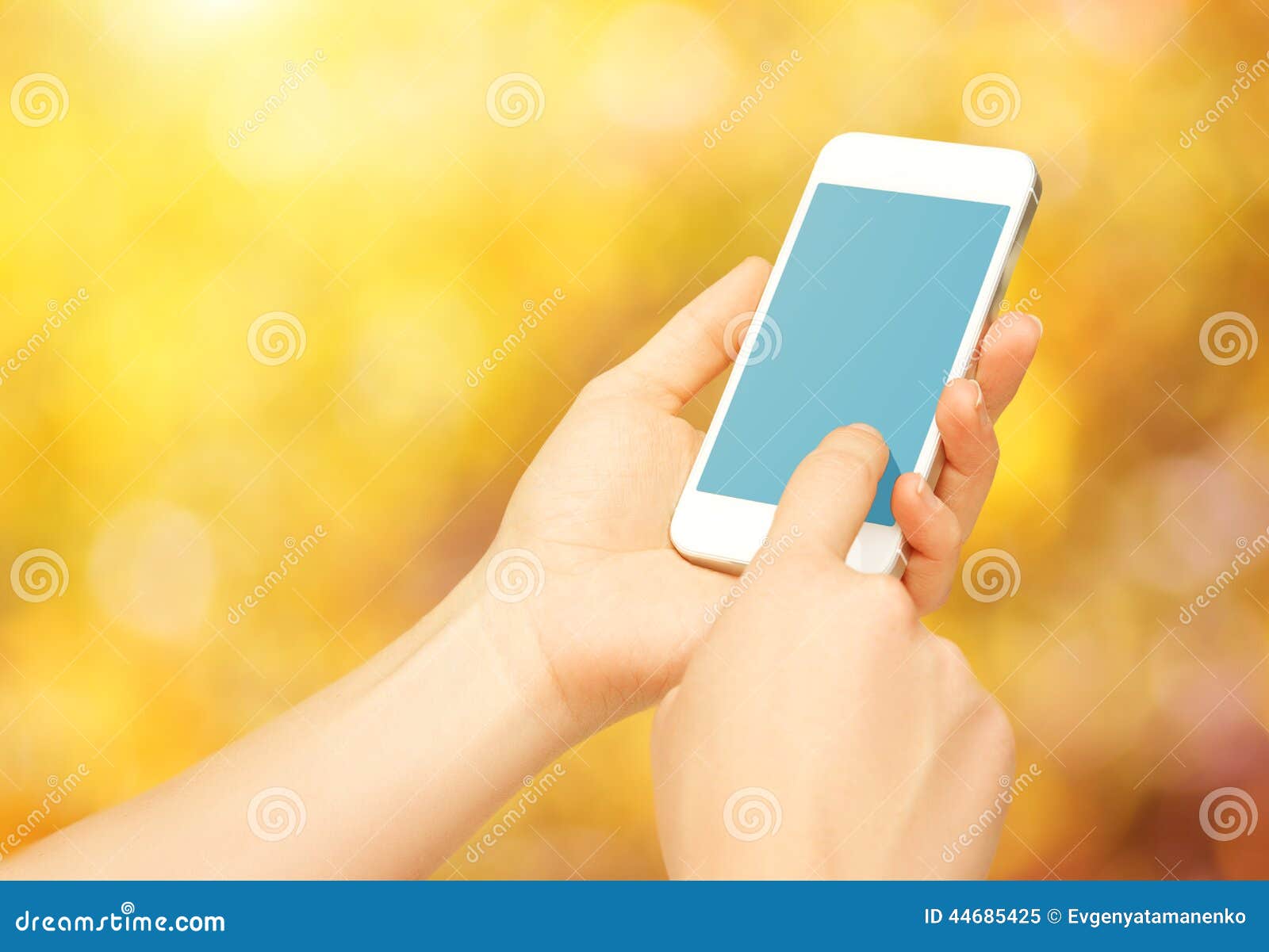 Blank Empty Phone Device in Hands of Woman on Nature in Autumn Stock ...