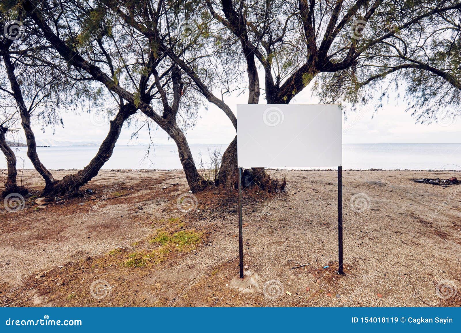 Blank Empty White Sign Post on the Beach Stock Image - Image of ...
