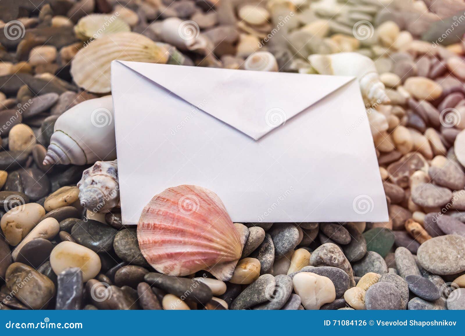 Blank Envelope Beach Decorated Sea Shell Stock Photos - Free & Royalty ...