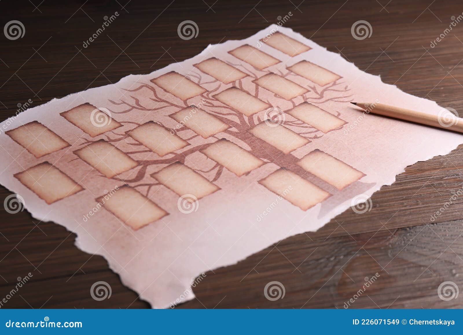 Blank Family Tree and Pencil on Table Stock Image - Image of memory ...