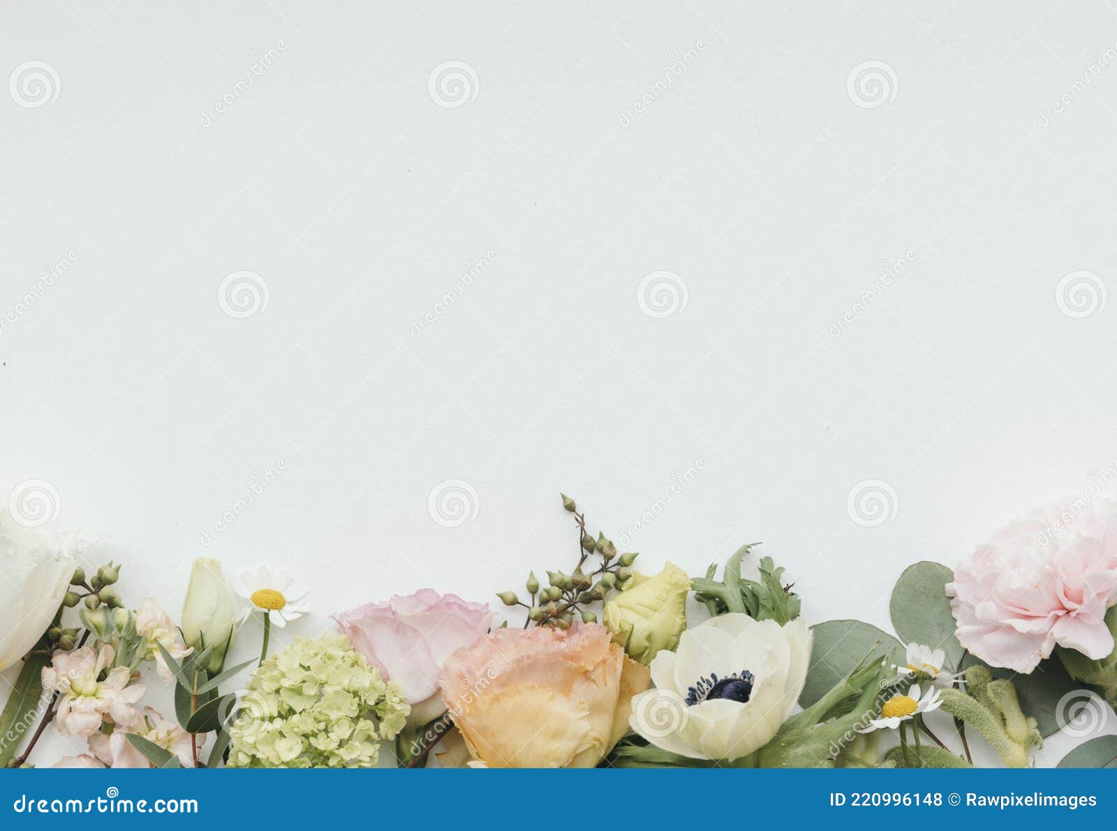 Blank floral card stock photo. Image of leaf, natural - 220996148