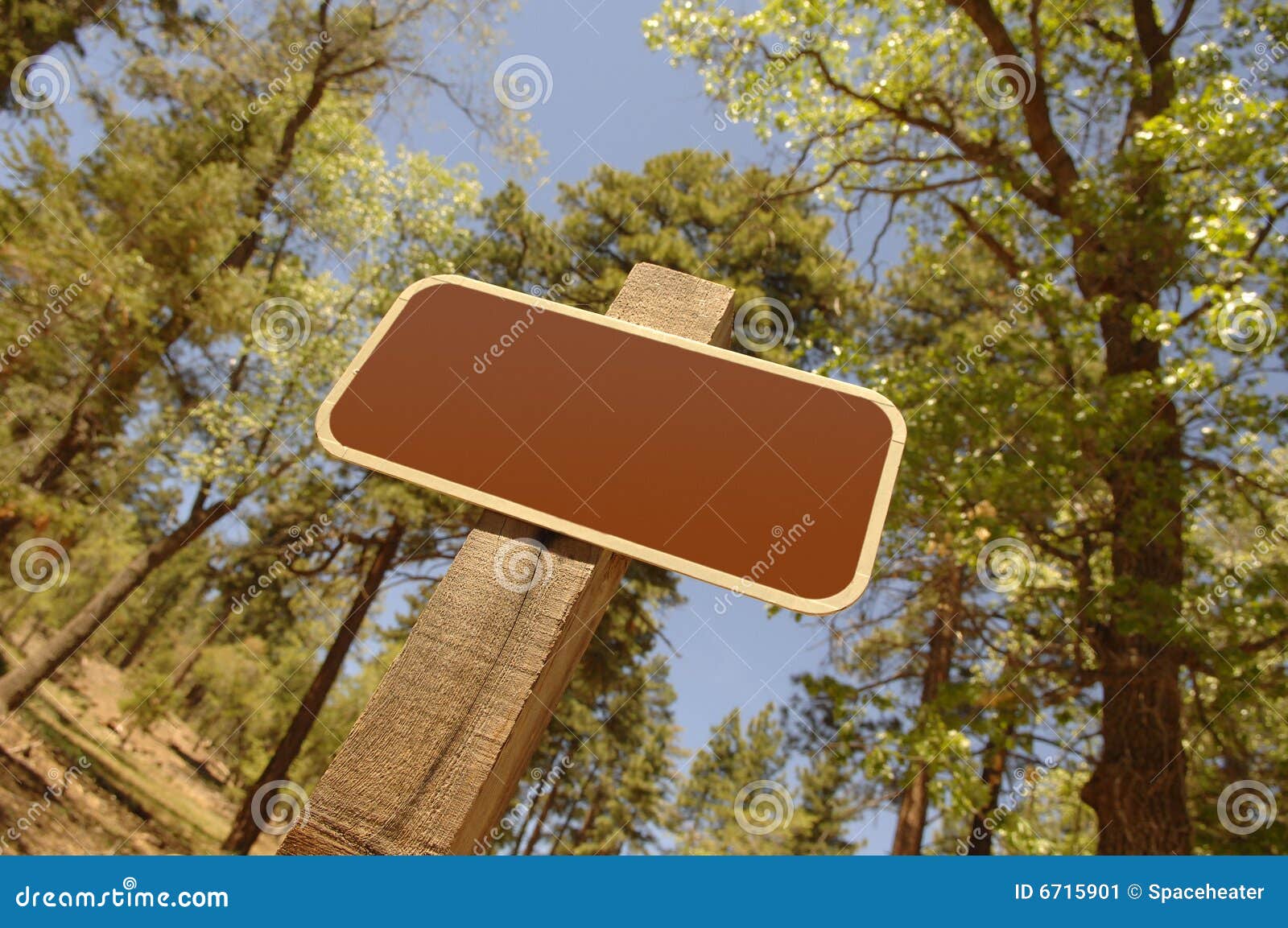 Blank Forest Sign stock image. Image of forest, wood, trees - 6715901