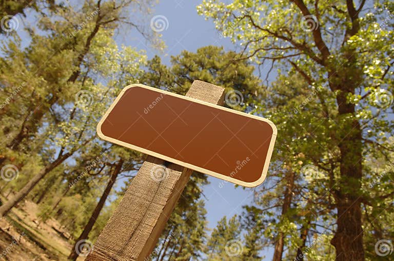 Blank Forest Sign stock image. Image of forest, wood, trees - 6715901