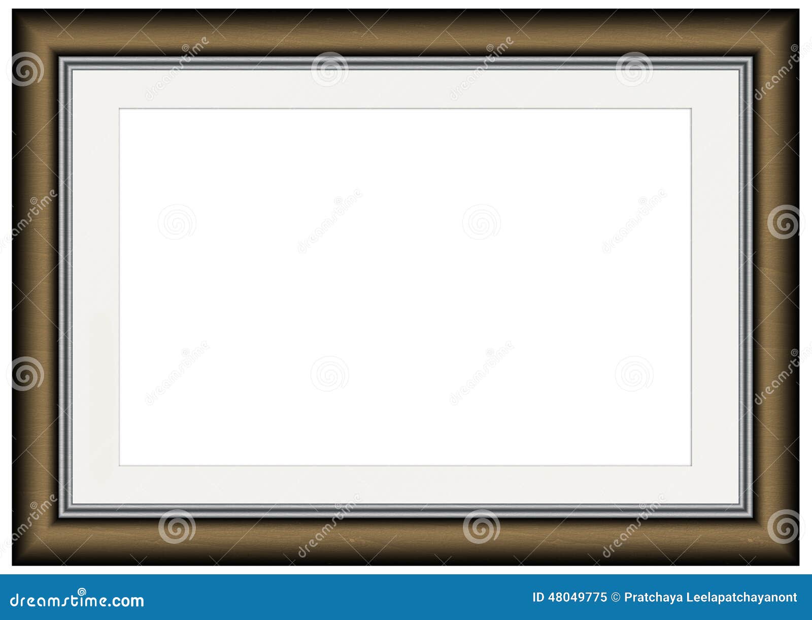 Blank frame stock image. Image of office, ornate, portfolio - 48049775