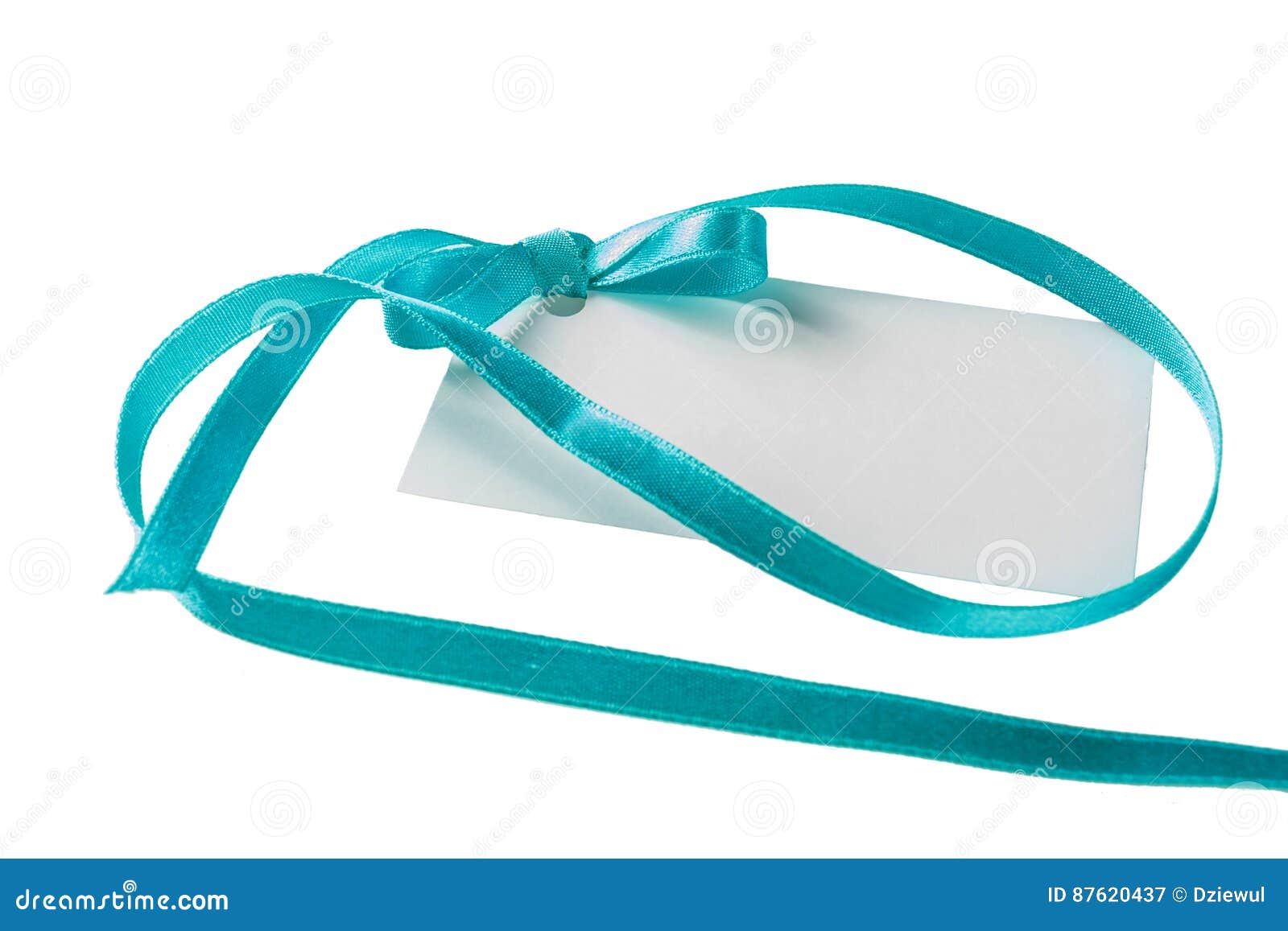 Blank Gift Tag Tied with a Green Satin Ribbon Stock Image - Image of ...