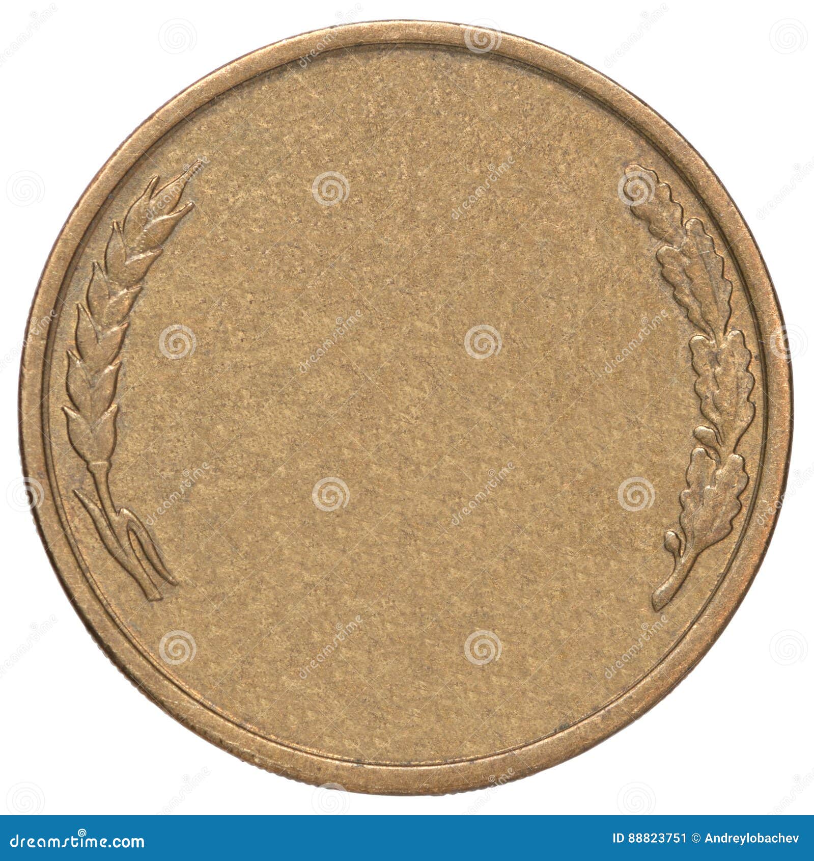 Blank gold coin stock image. Image of metal, gold, concept - 88823751