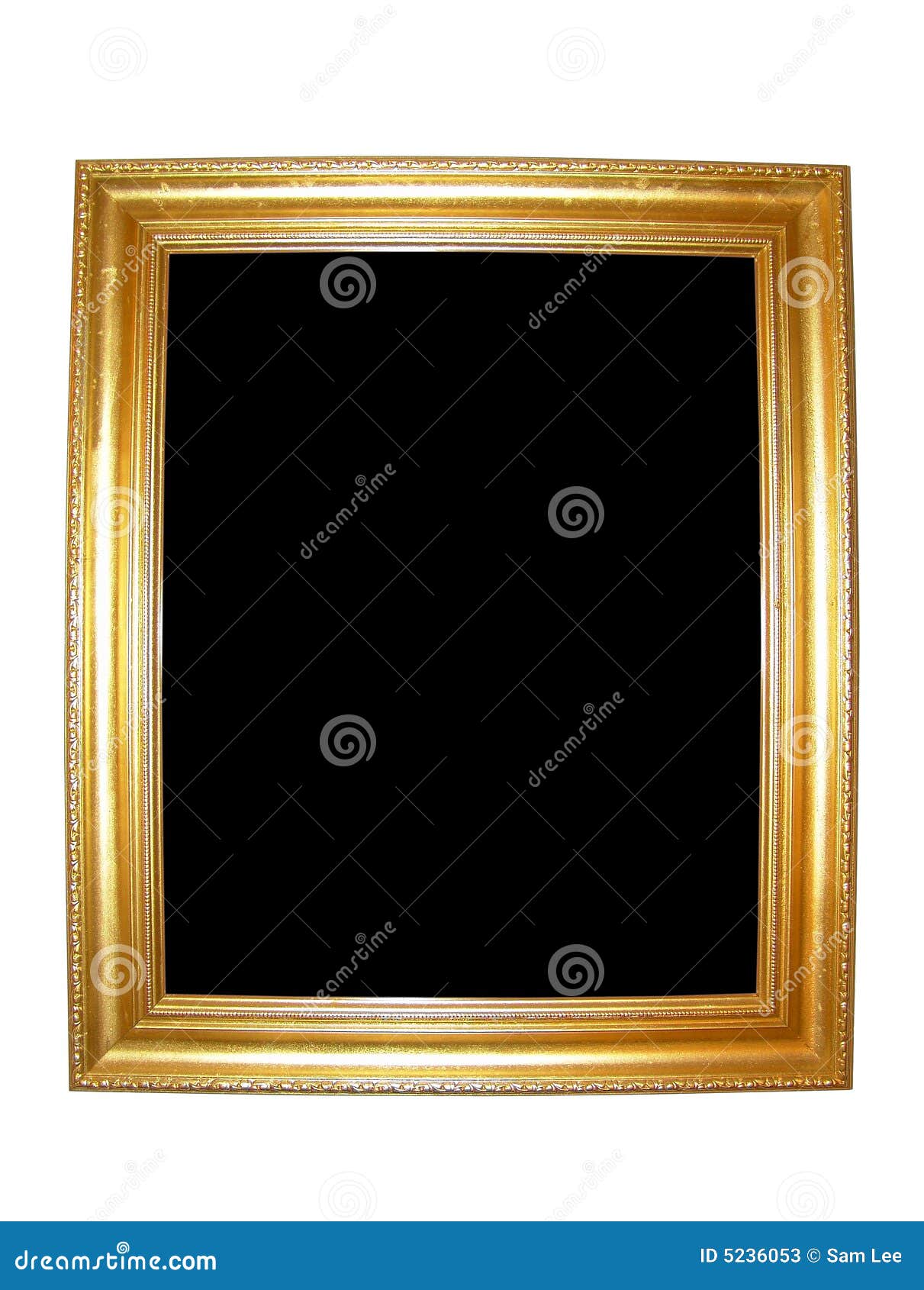 Blank Gold Picture Frame stock image. Image of macro, decoration - 5236053
