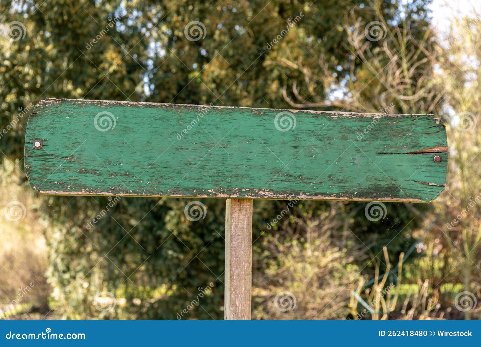 Blank Green Weathered Wooden Sign Stock Photo - Image of nail, timber ...