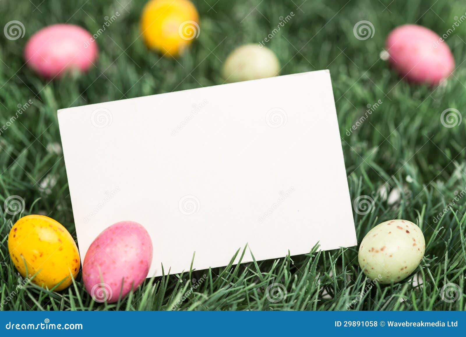 Blank Greeting Card with Easter Eggs Stock Photo - Image of sweet ...