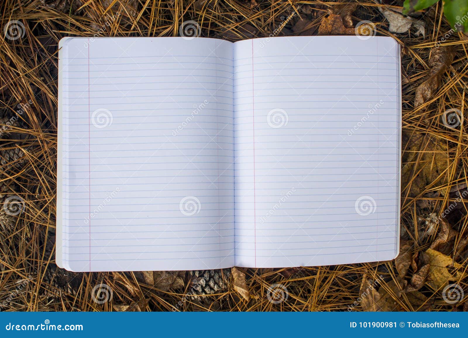 Blank journal on ground stock image. Image of creativity - 101900981