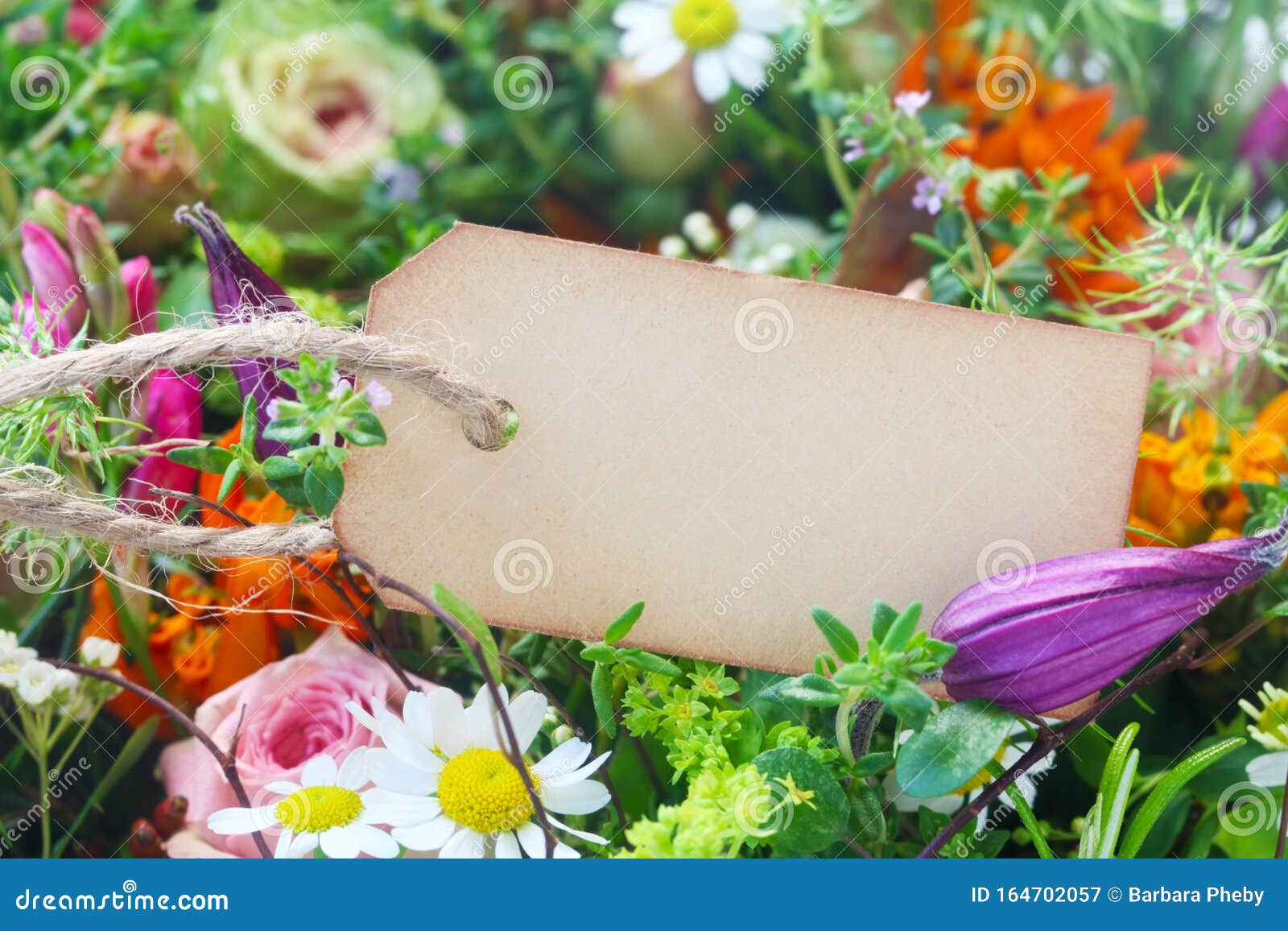Blank Label stock image. Image of garden, copyspace - 164702057