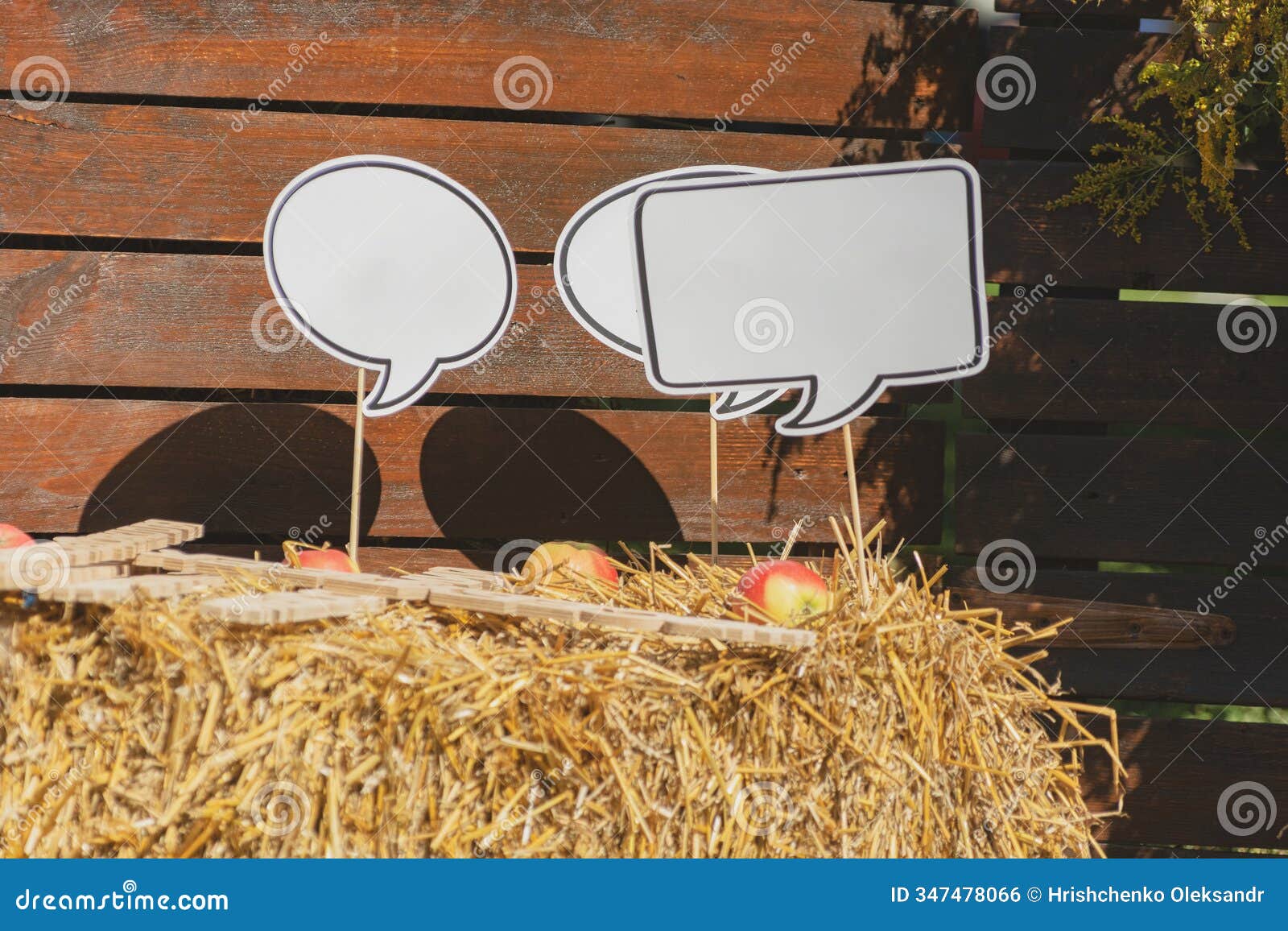 Blank Labels for Inscriptions in the Form of a Bubble Stock Photo ...