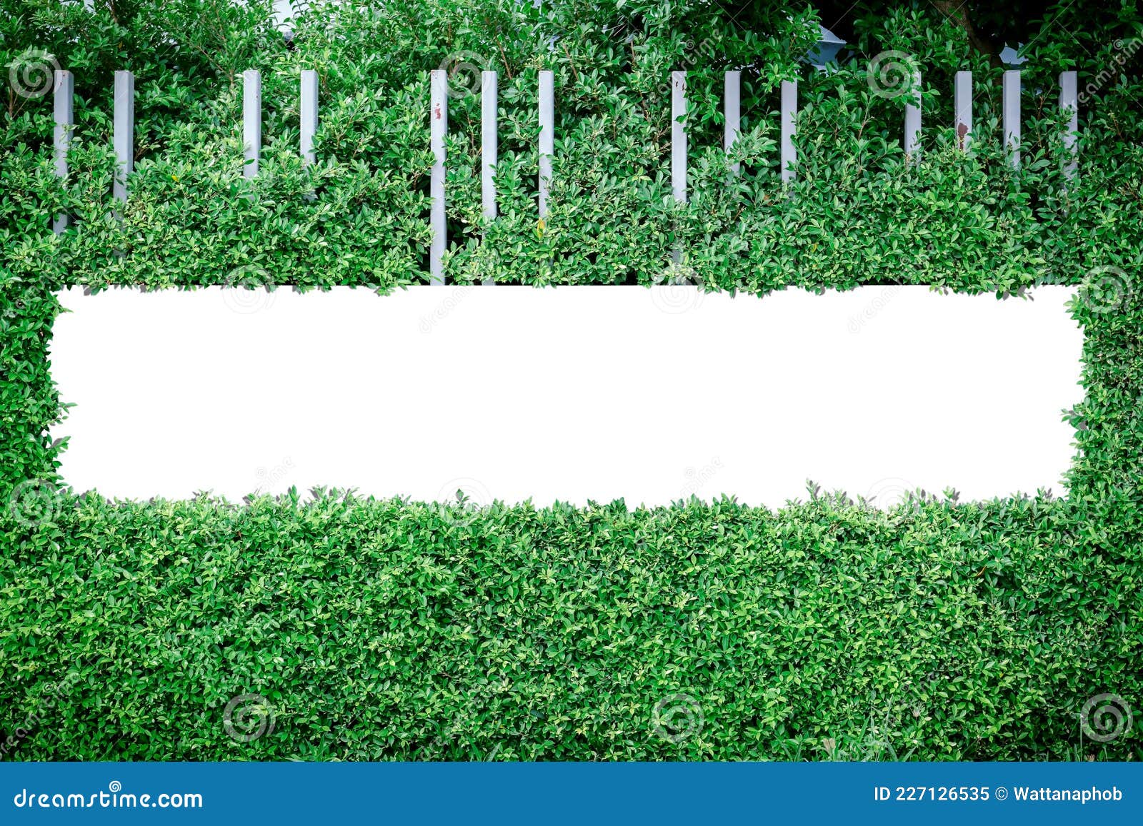 Blank Labels for Text or Image Logos Framed by Green Leaves Stock ...