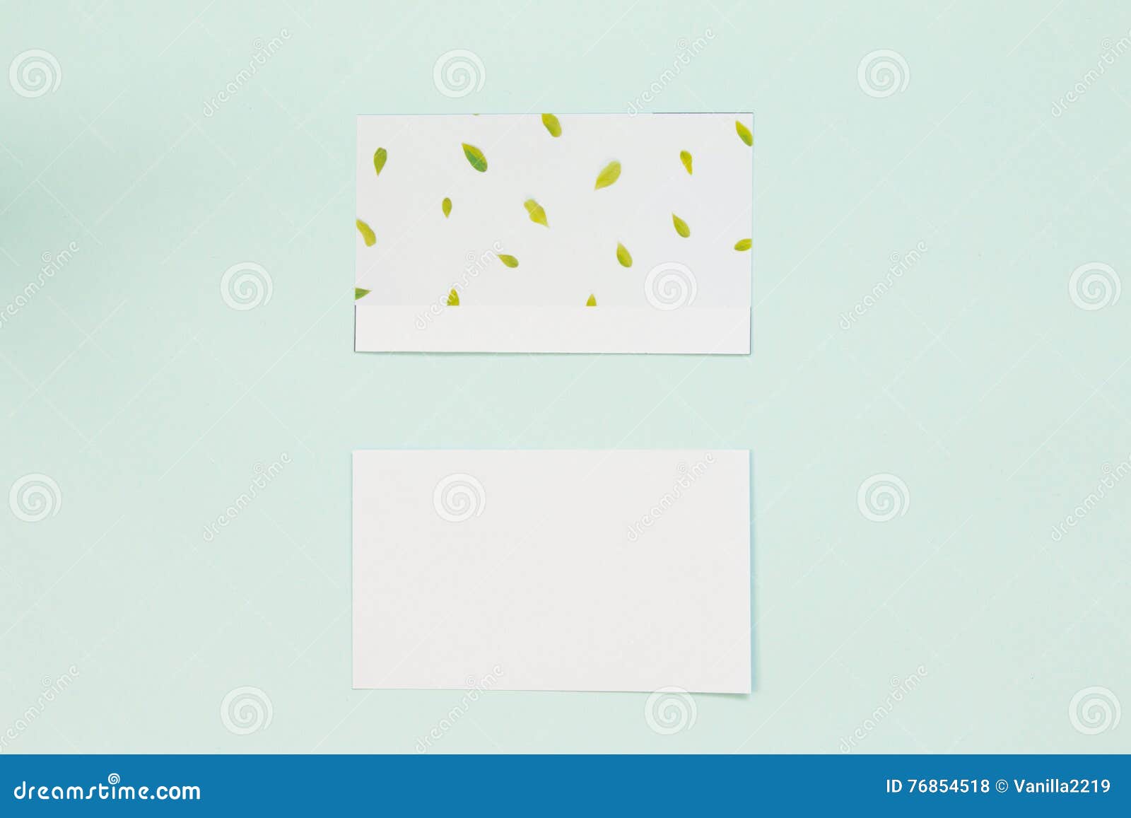 Blank name card stock photo. Image of clean, green, copy - 76854518