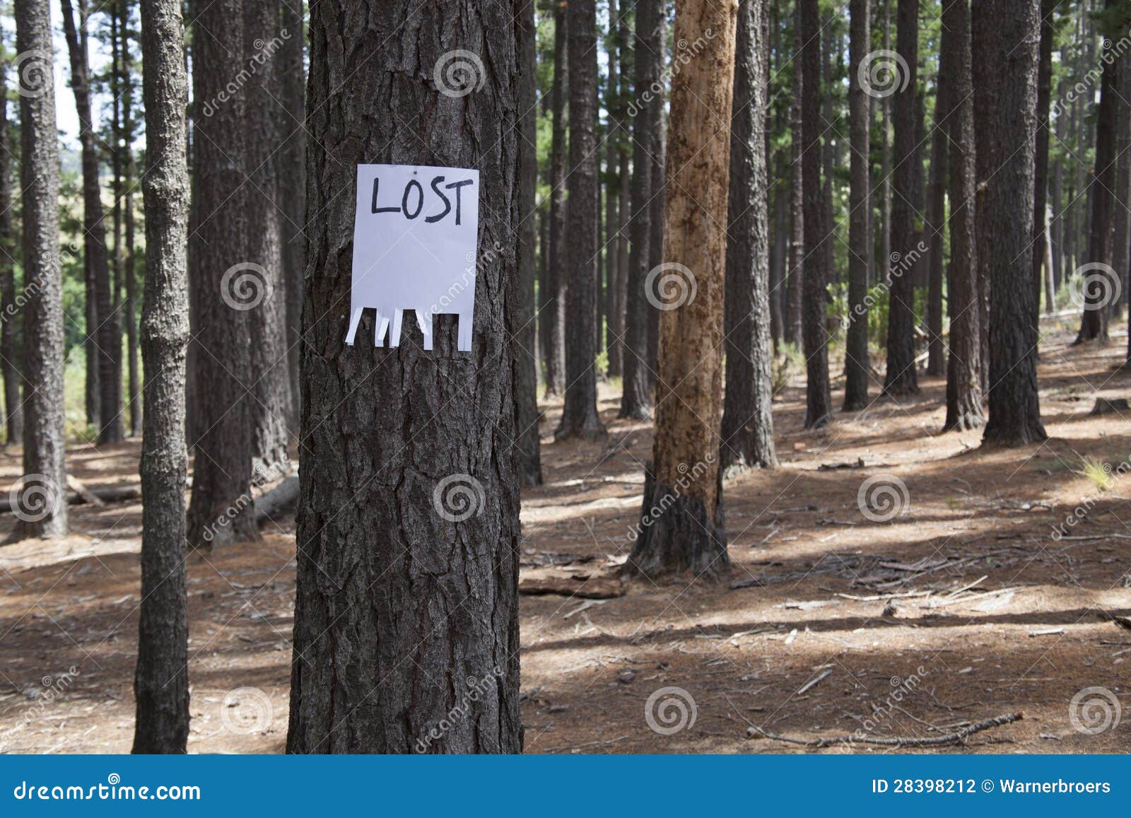 A blank lost sign stock photo. Image of help, compass - 28398212