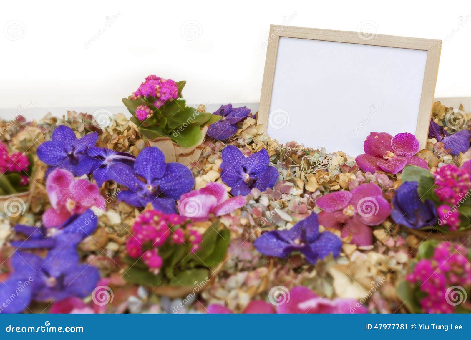 Blank message board stock image. Image of empty, message - 47977781