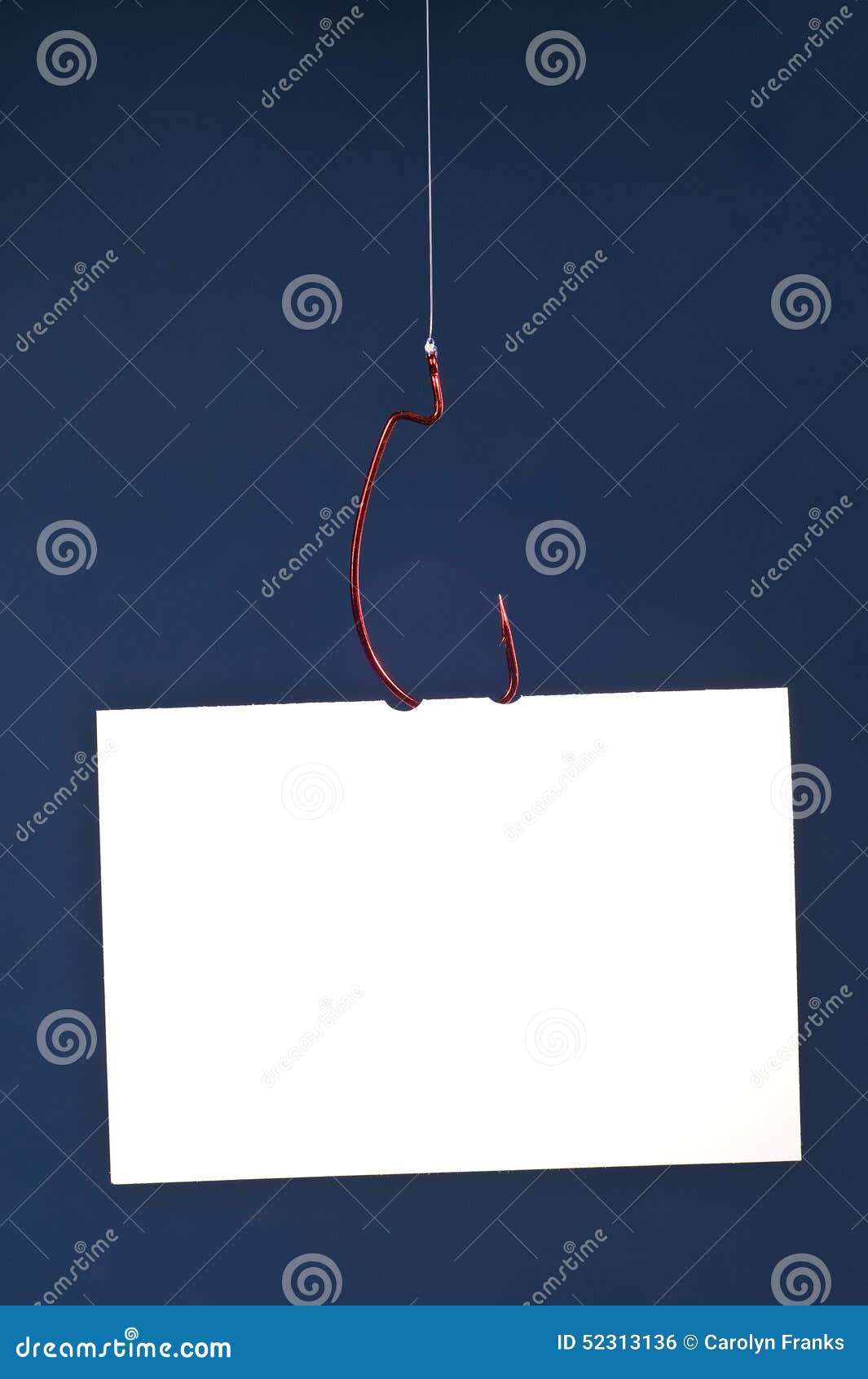 7,205 Blank Fish Photos - Free & Royalty-Free Stock Photos from Dreamstime