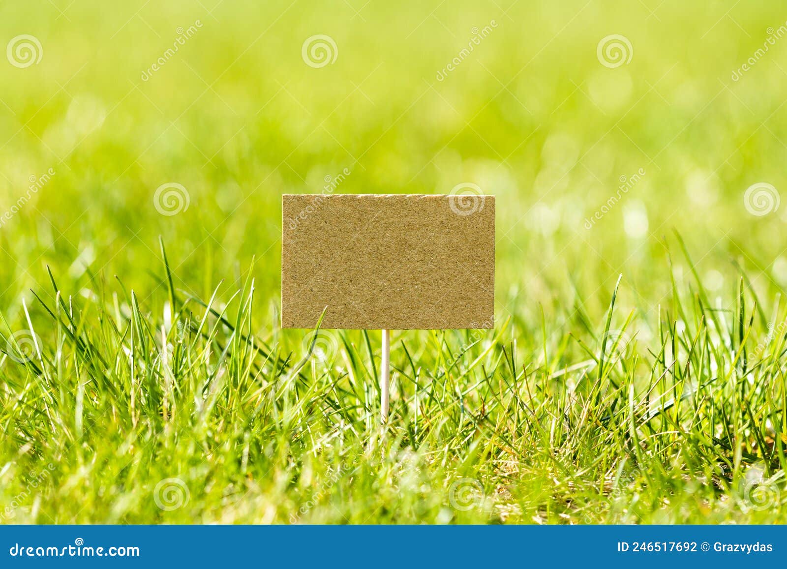 Blank Mini Paper Pointer in a Green Grass Stock Photo - Image of blank ...