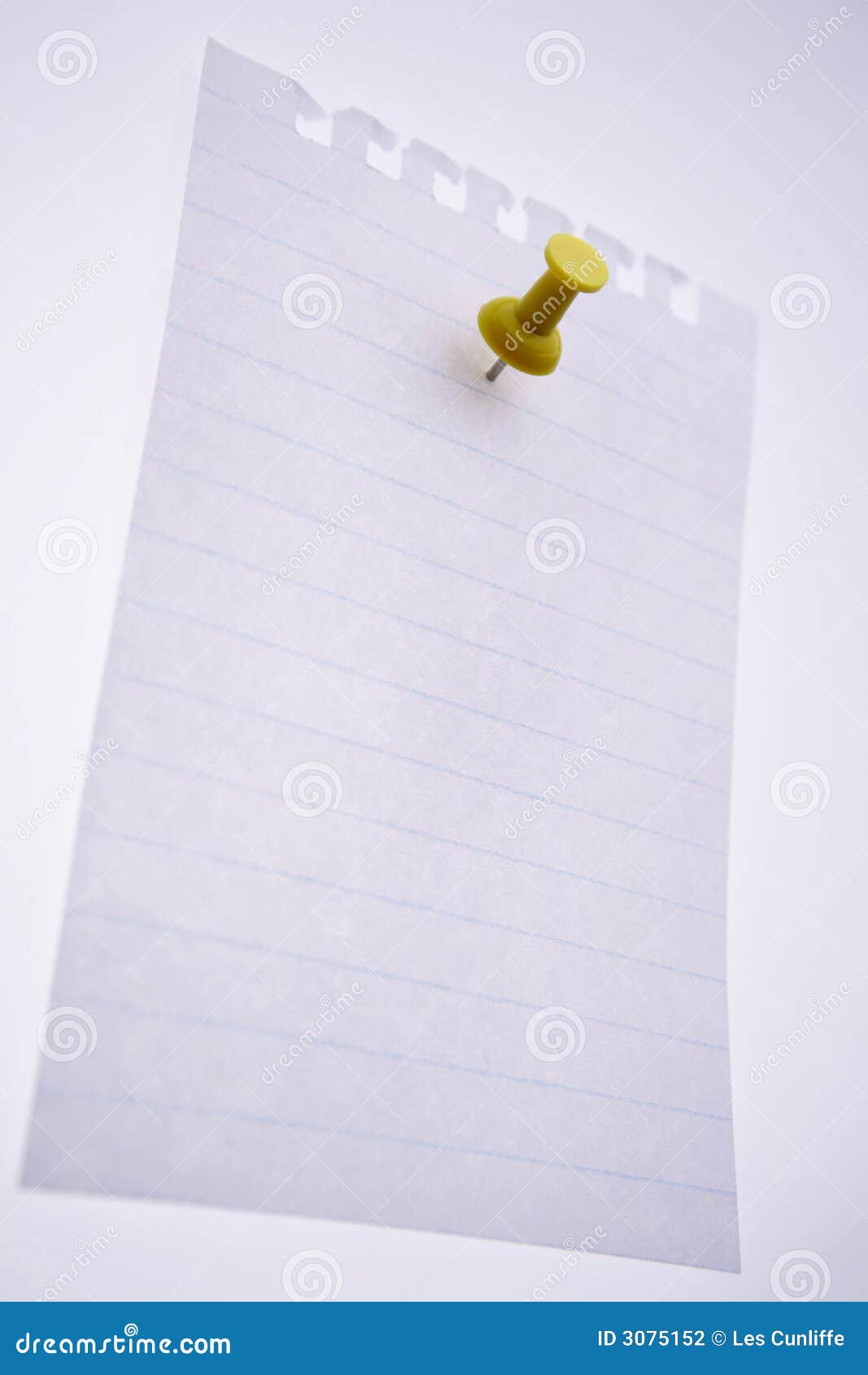 Blank note stock photo. Image of close, page, pinned, white - 3075152