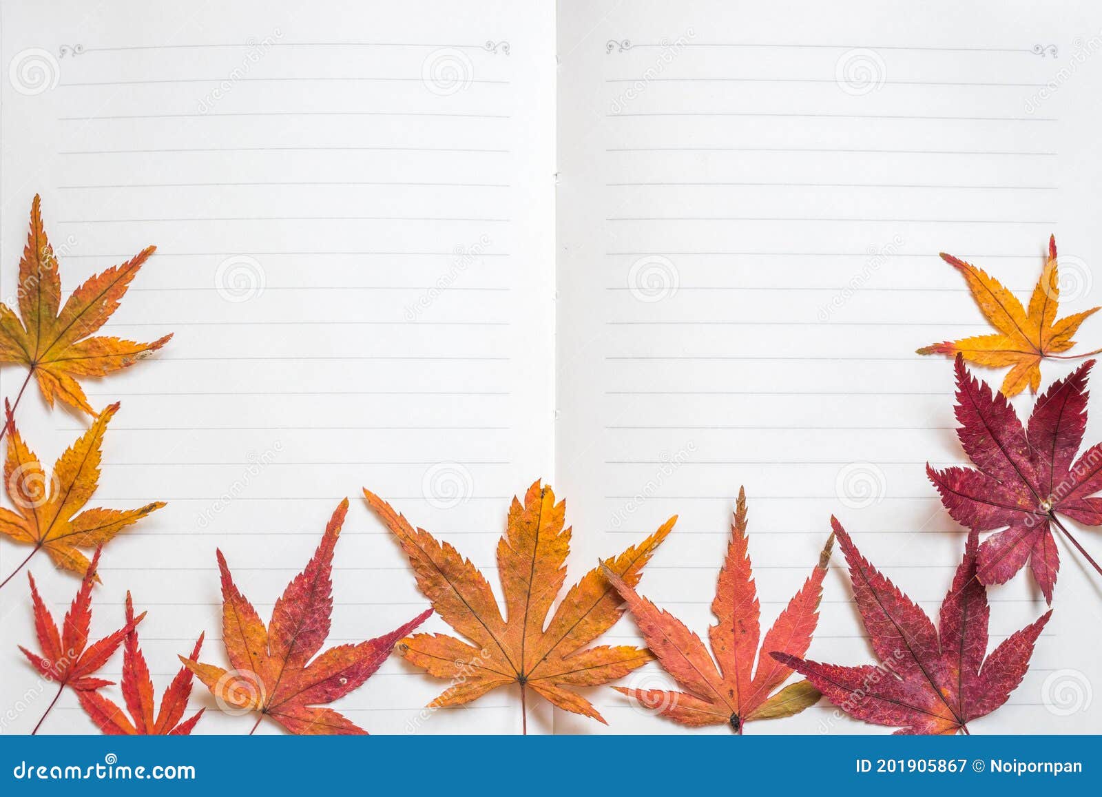 Blank Note Book Paper Texture Line Pattern Background For Handwriting ...