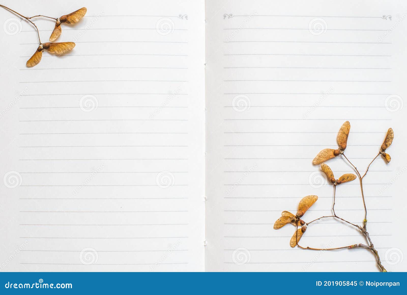 Blank Note Book Paper Texture Line Pattern Background for Handwriting ...