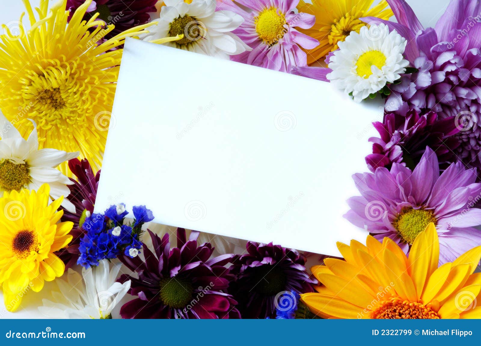 Blank Note-card with Flowers Stock Image - Image of sunflower, bright ...