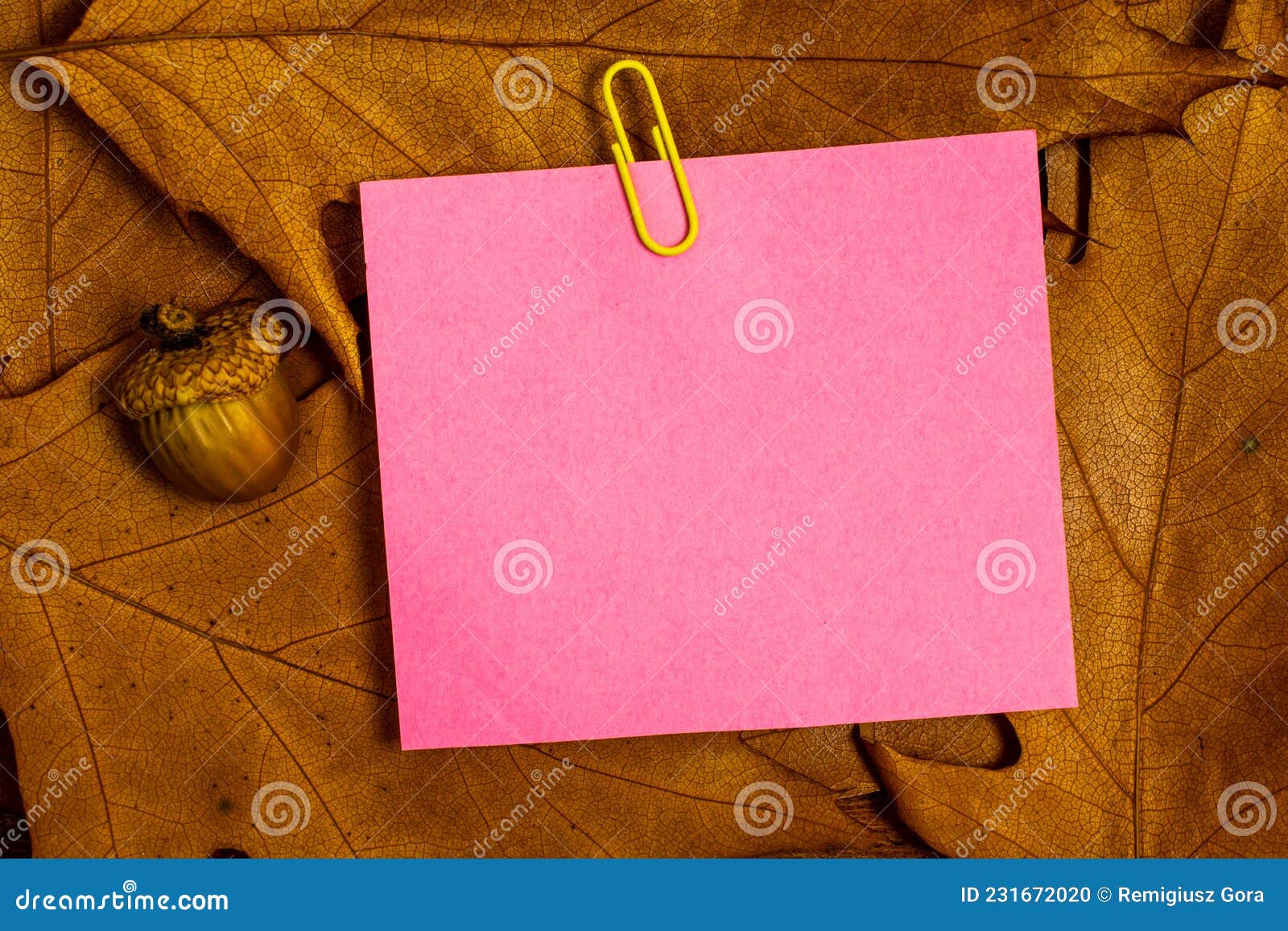 Blank Note on a Notice Board. Autumn Background with Leaves Stock Photo ...
