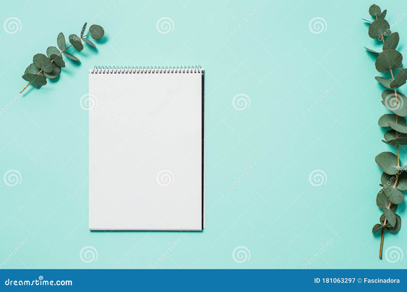Blank Notebook and Eucalyptus on Blue Background Stock Image - Image of ...