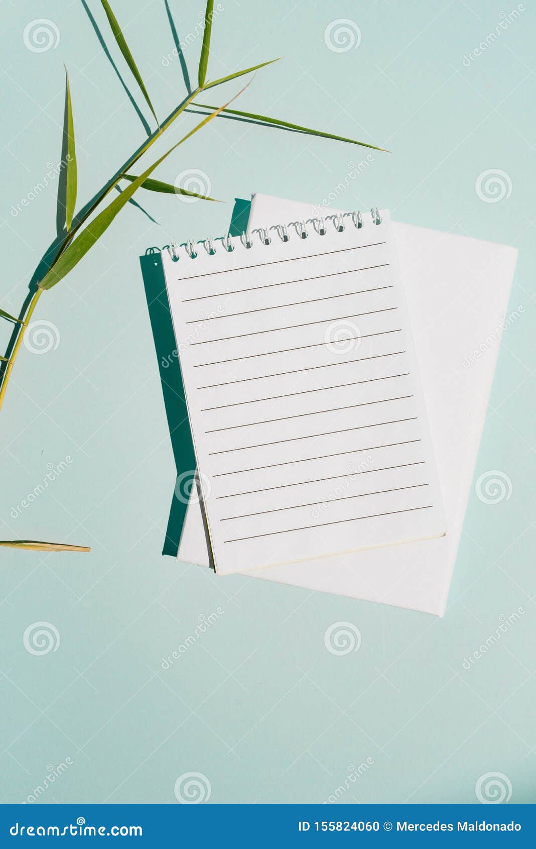Blank Espiral Notebook , and Delicate Green Leaves that Project the ...