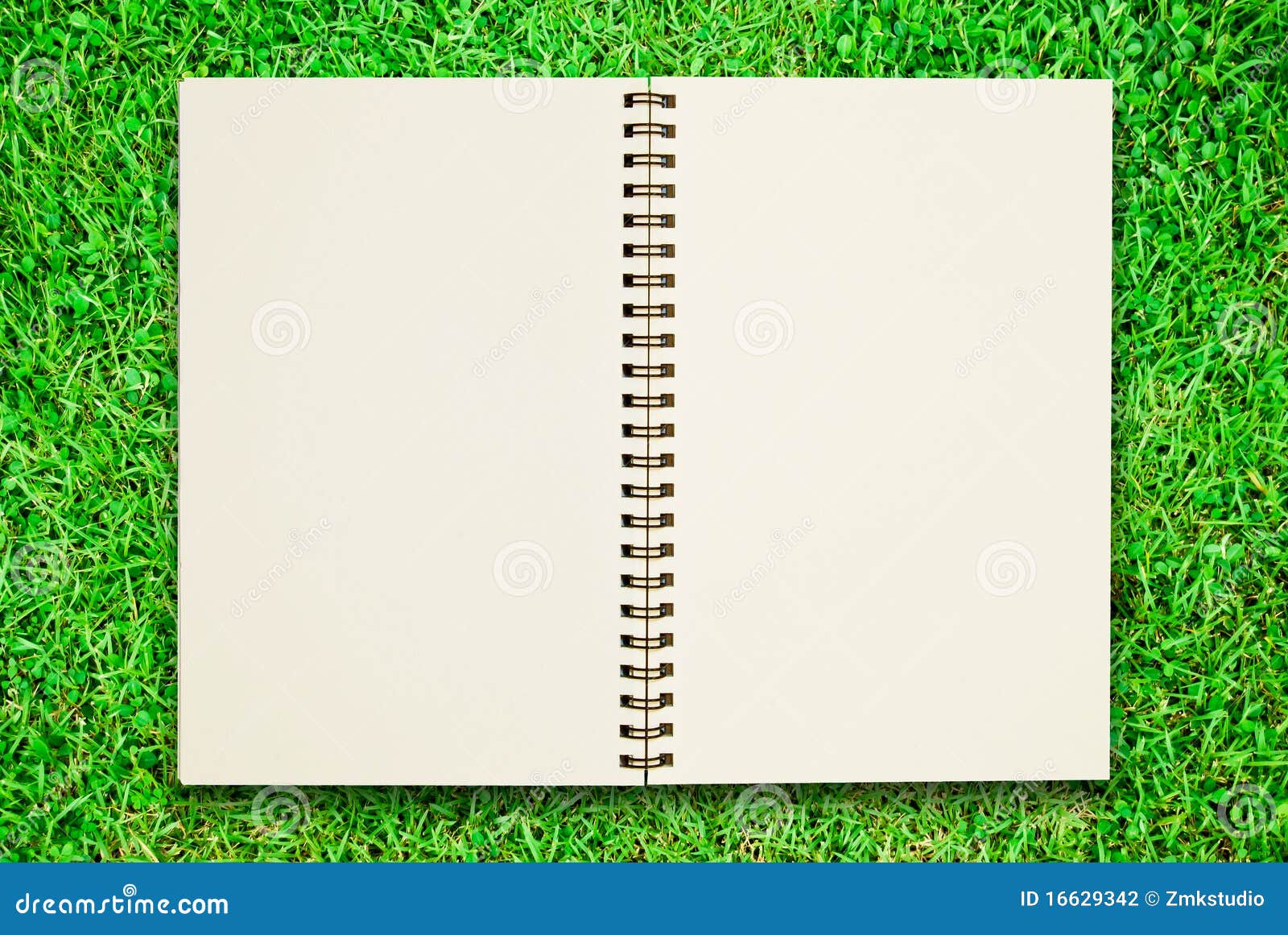 Blank Notebook Open on Green Grass Field Stock Photo - Image of empty ...