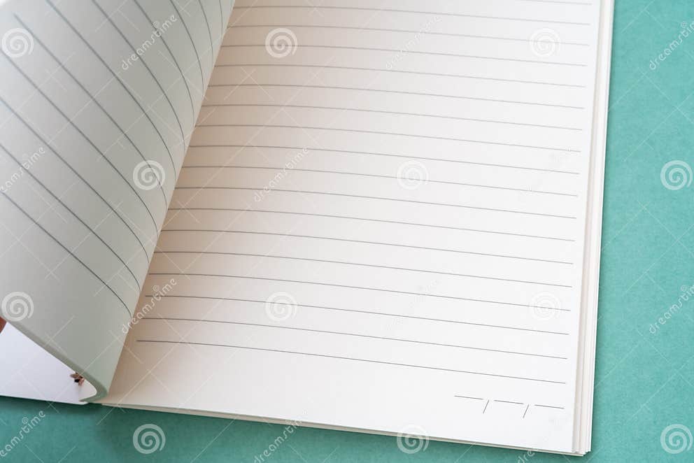 Blank notebook pages. stock photo. Image of write, copy - 221224002