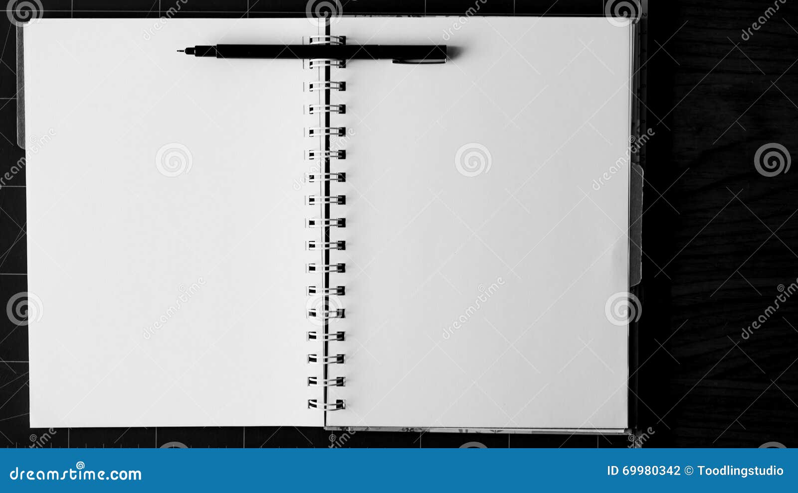 Blank Notebook with Pen on the Table. Stock Photo - Image of memo ...