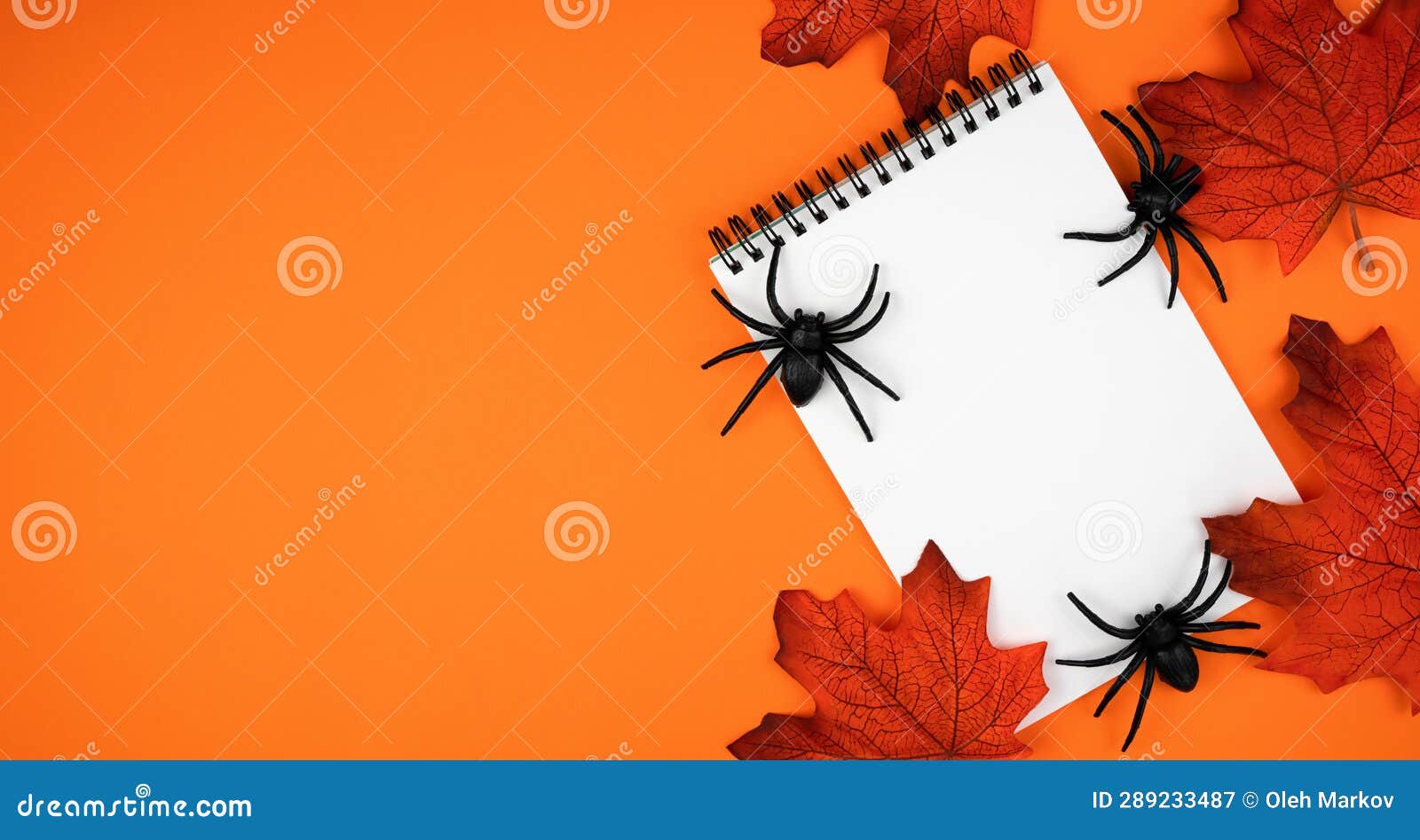 Blank Notepad, Spiders and Autumn Leaves on Orange Background ...