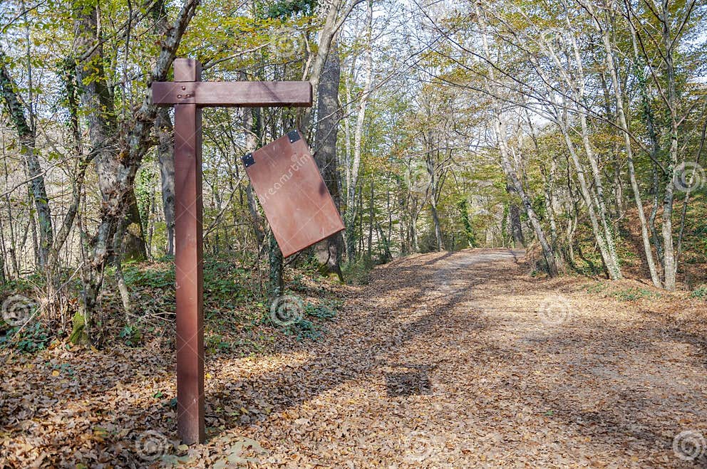 Blank Notice Board by a Path in the Forest in Autumn Stock Photo ...