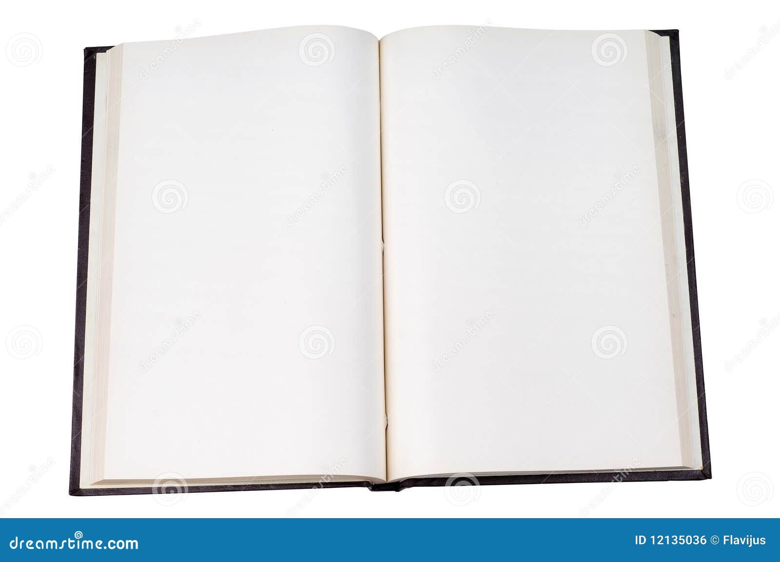 Blank open book stock photo. Image of literature, advertise - 12135036