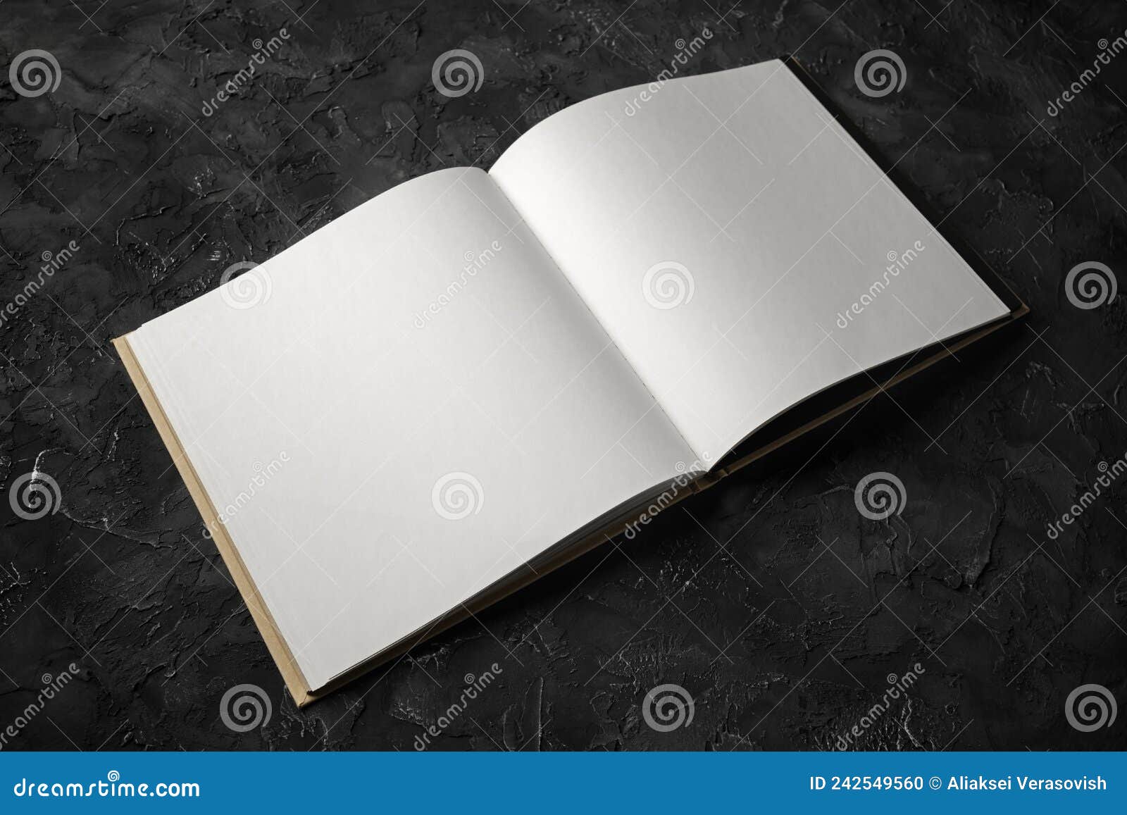 Blank open book stock photo. Image of mock, education - 242549560