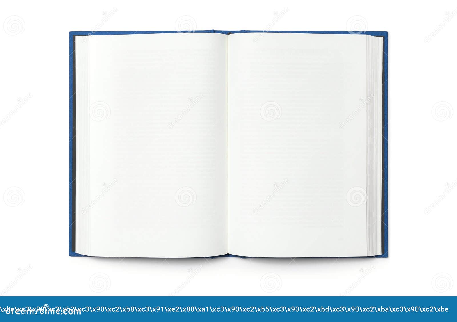 Blank Open Book Isolated, Top Front View. Stock Image - Image of ...