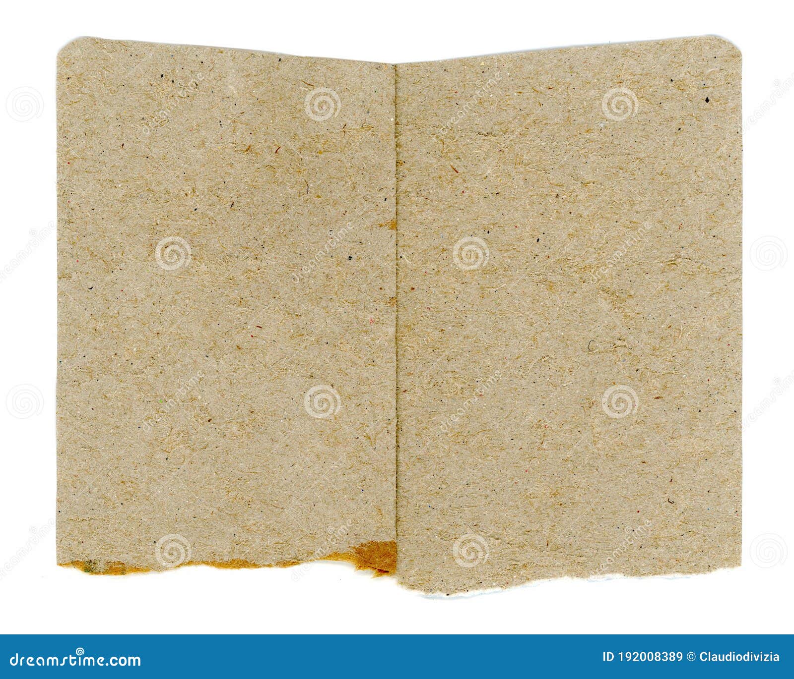 Blank Open Book Page Stock Image | CartoonDealer.com #192008389