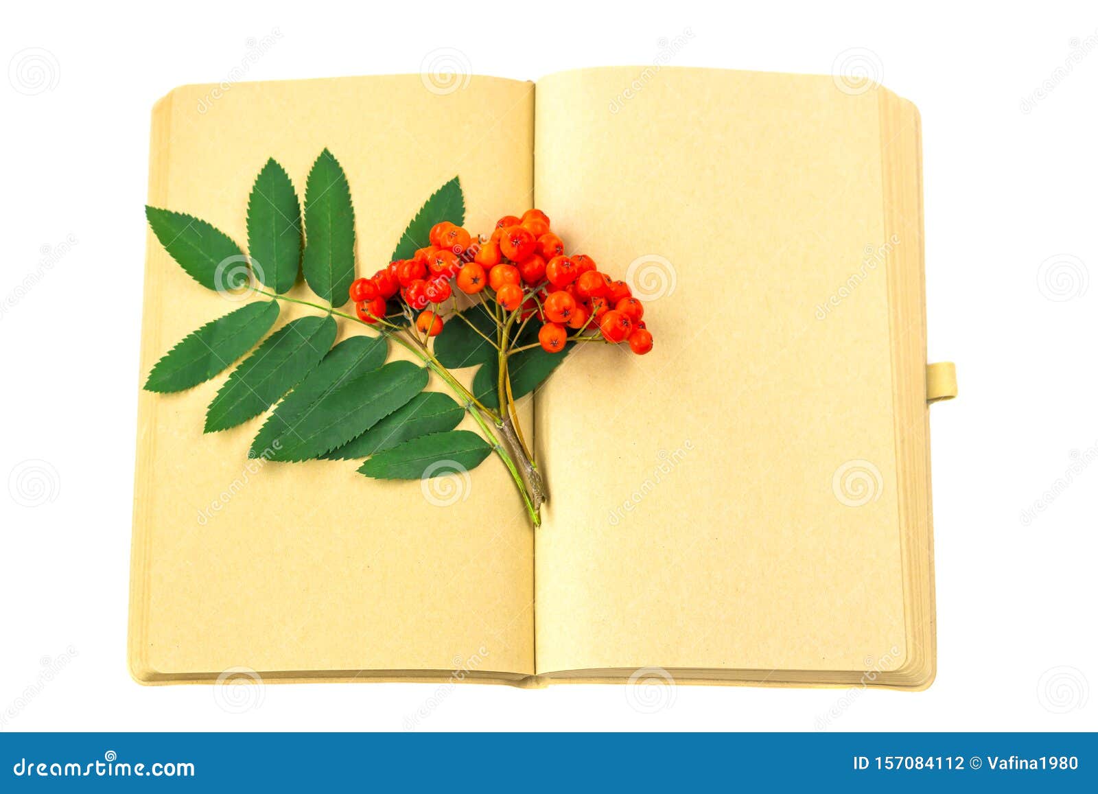 Blank Open Diary Notebook, Sketchbook Decorated with Twig of Rowan ...